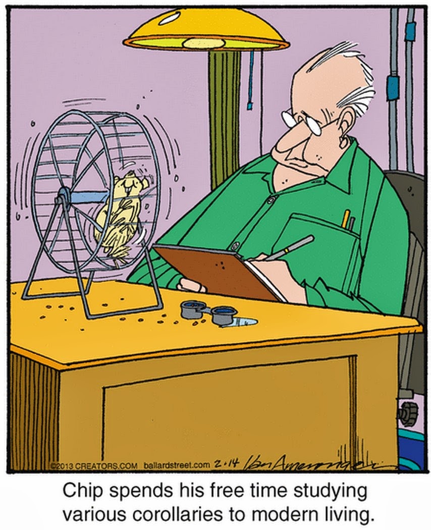 Chuck's Fun Page 2: Fifteen cartoons exploring the idiocy of the human race