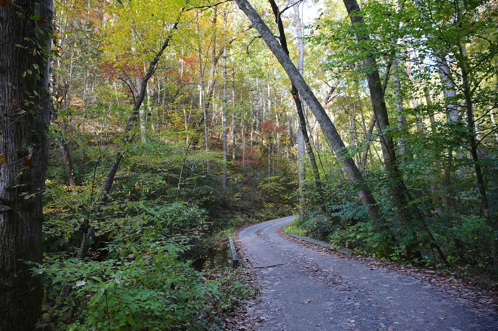 Sweet Southern Days: Parson Branch Road In The Great Smoky Mountains ...