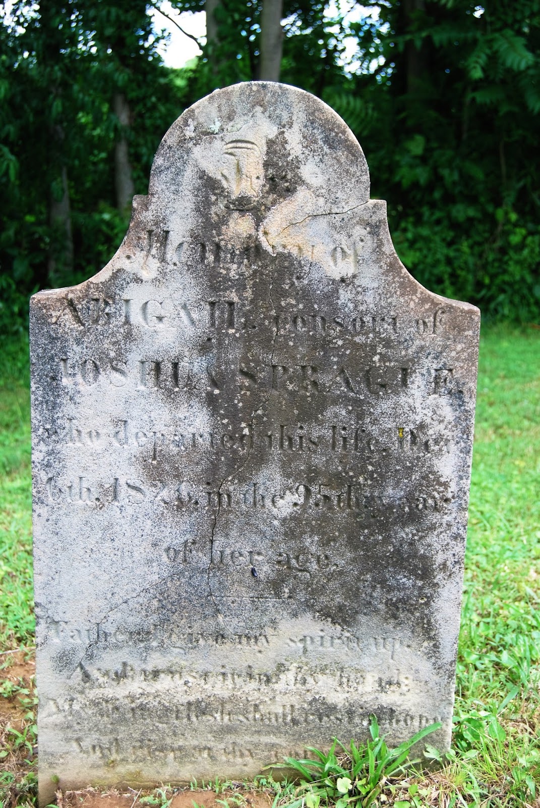 Goldsberry Pickin's: The Fascinating Saga of the Sprague Family