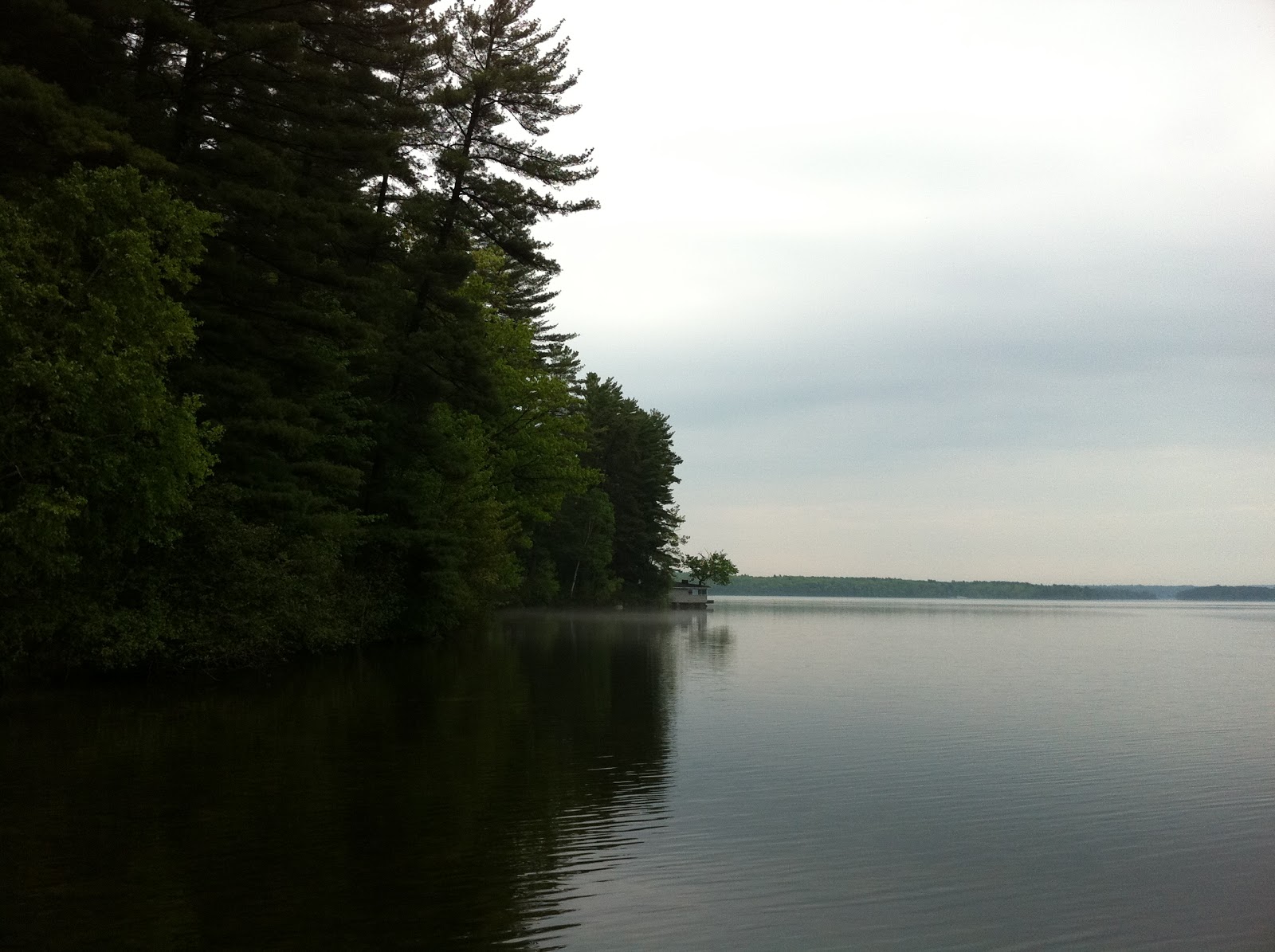 wake up call of the loons at Thompson Lake, Maine...