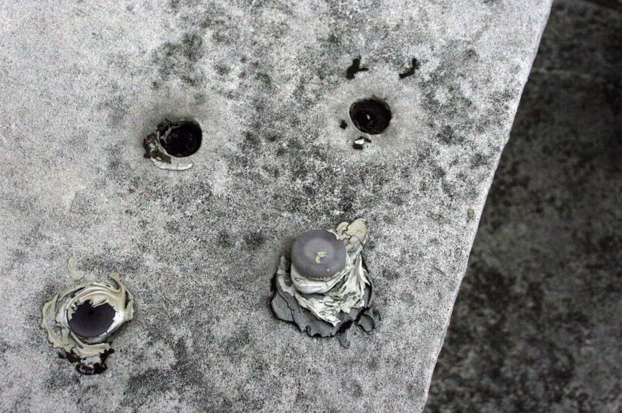 Environmental Geography Blog: Atmospheric Pollution and Stone Decay: St ...