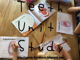 Young Hosannas: Teeth Unit Study