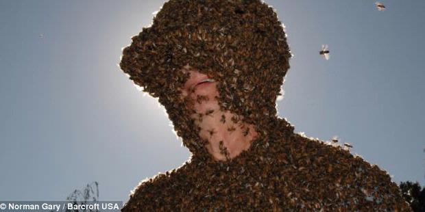 Meet The Bee Wrangler | ONE FULL BOX