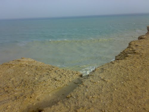 Spreebird wildlife: JIWANI PORT (BALUCHISTAN-PAKISTAN)