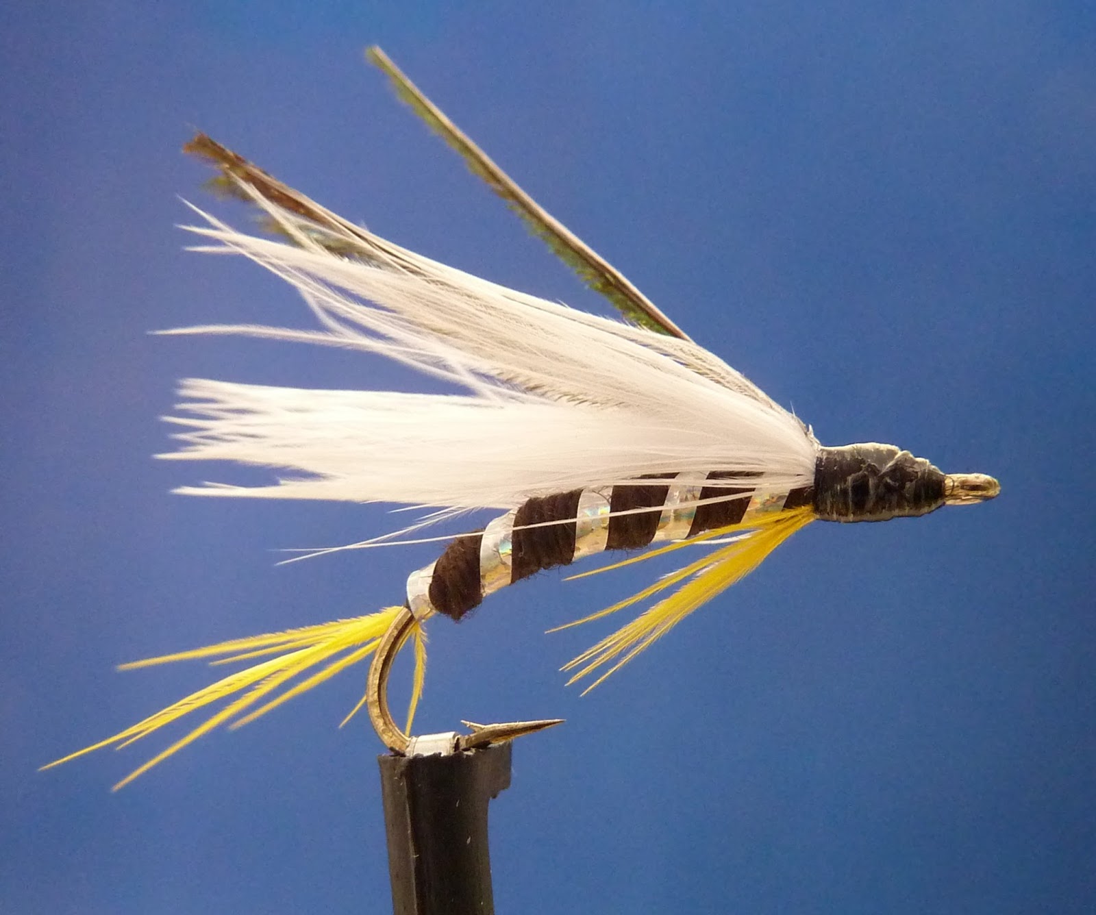 Northern NH Fly Fishing