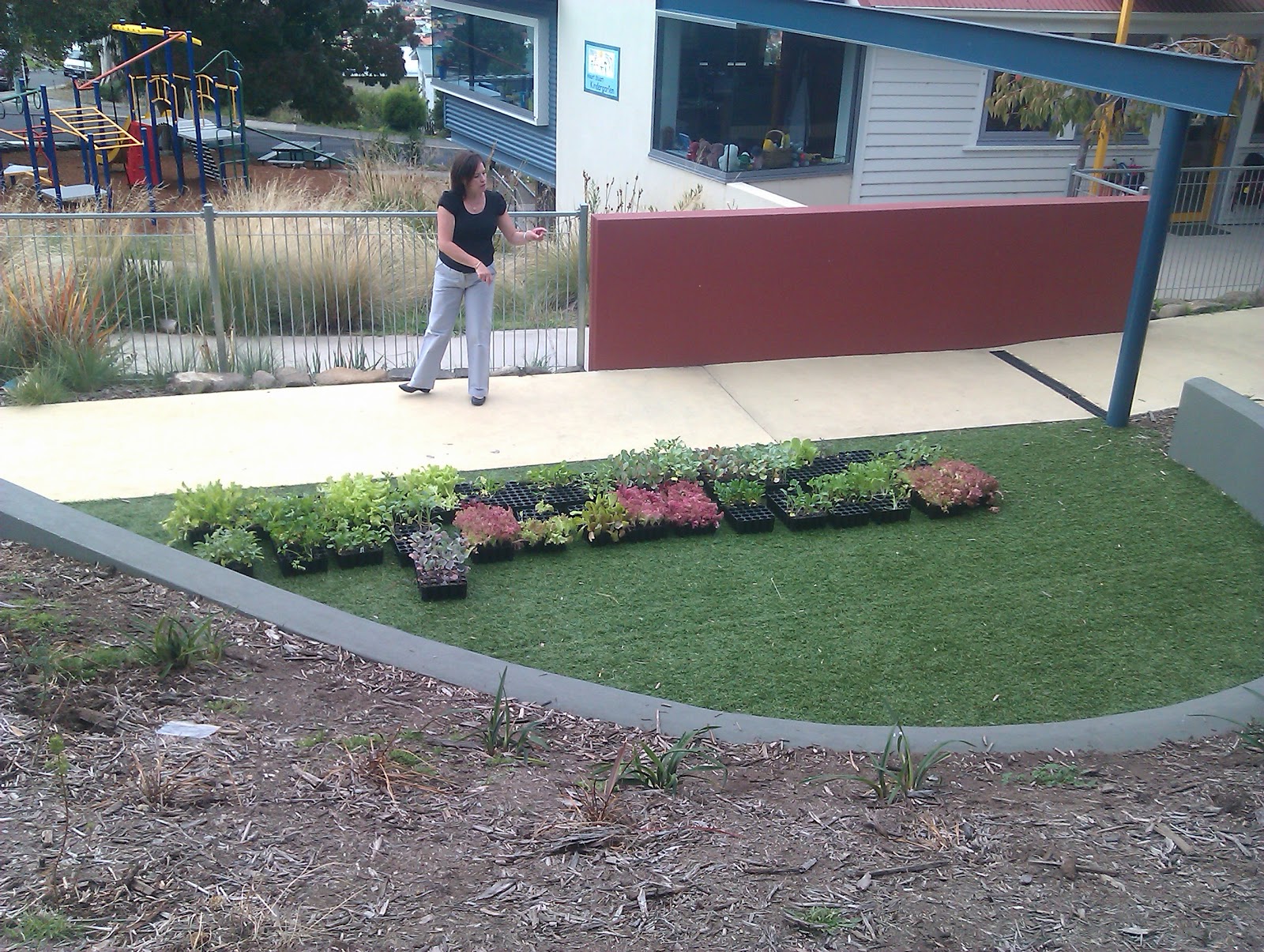 HOBART KITCHEN GARDENS: Free seedlings for Mount Stuart primary school