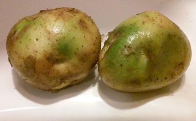 Dr. Christian Cornejo: LO QUE NECESITAS SABER SOBRE LA SOLANINA