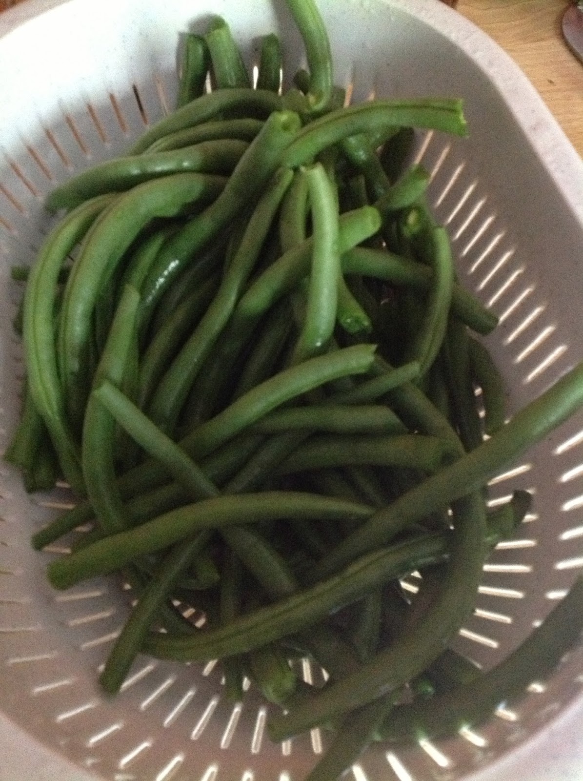 Gluten Free With Silvana: Fasolakia-Greek String Beans