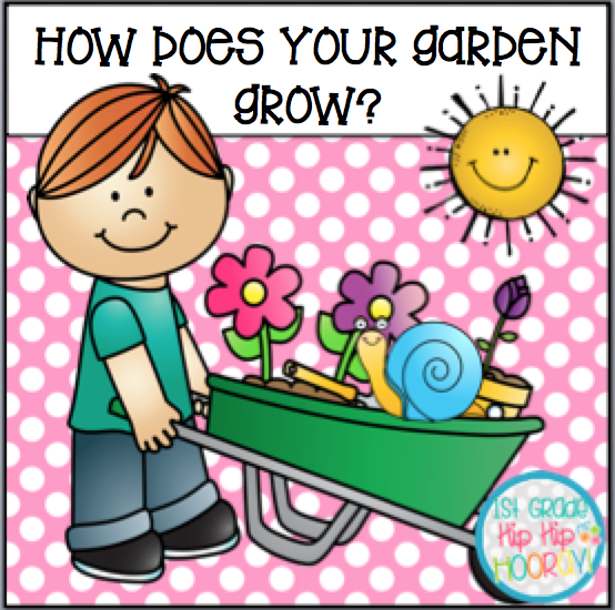 1st Grade Hip Hip Hooray!: How Does Your Garden Grow Freebie!!
