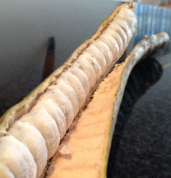 Espigas de Trigo: Mi abuelo me lo contó, hablando de Costa Rica y la ...