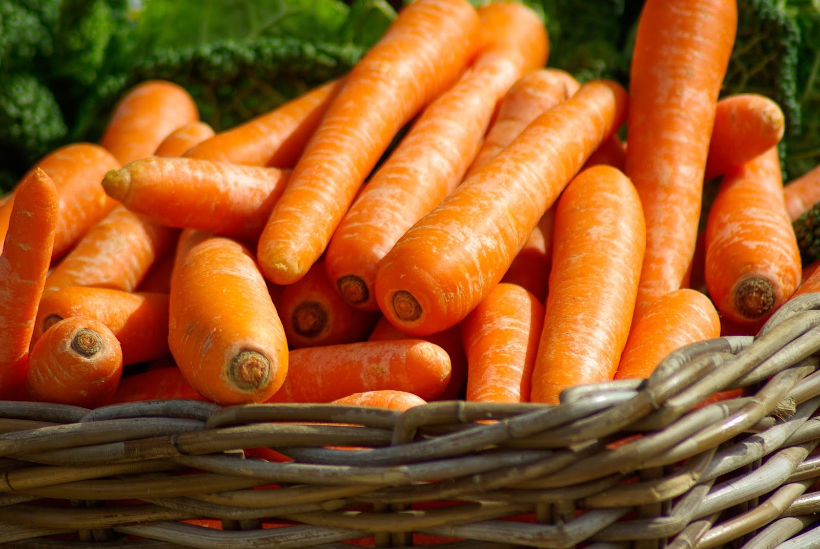 International carrot day : 4th April | Melody Jacob