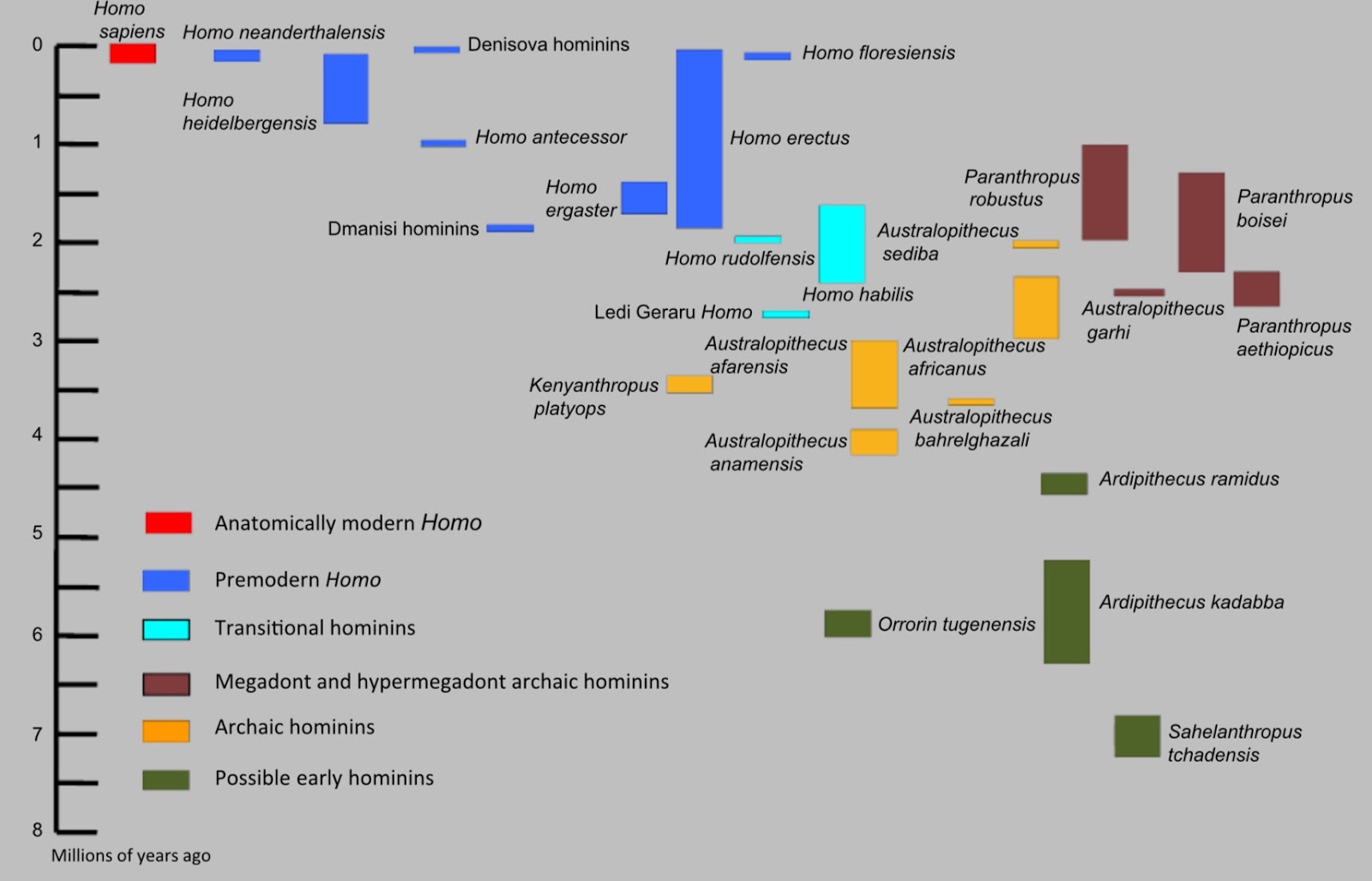 Paleoantropología hoy: La tribu Hominini