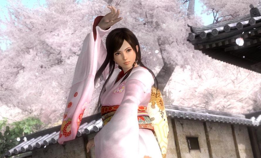 Tohka's Fighting World: Get to Know: Kokoro (Dead or Alive)