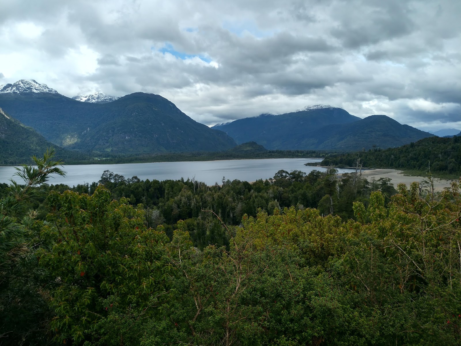 Curioseandando: Viaje a la Patagonia: del Parque Pumalín a La Junta (2 ...