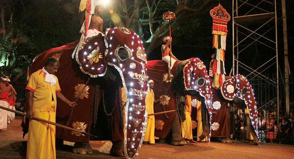 චිත්‍රපටි: Sri Dalada Perahara 2013