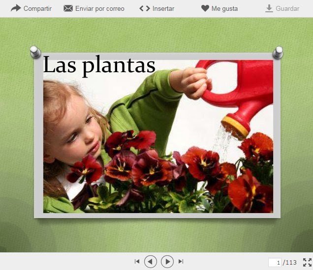 Mas allá del aula... ;): Ciencias Naturales 5º: Tema 1: Las Plantas ...