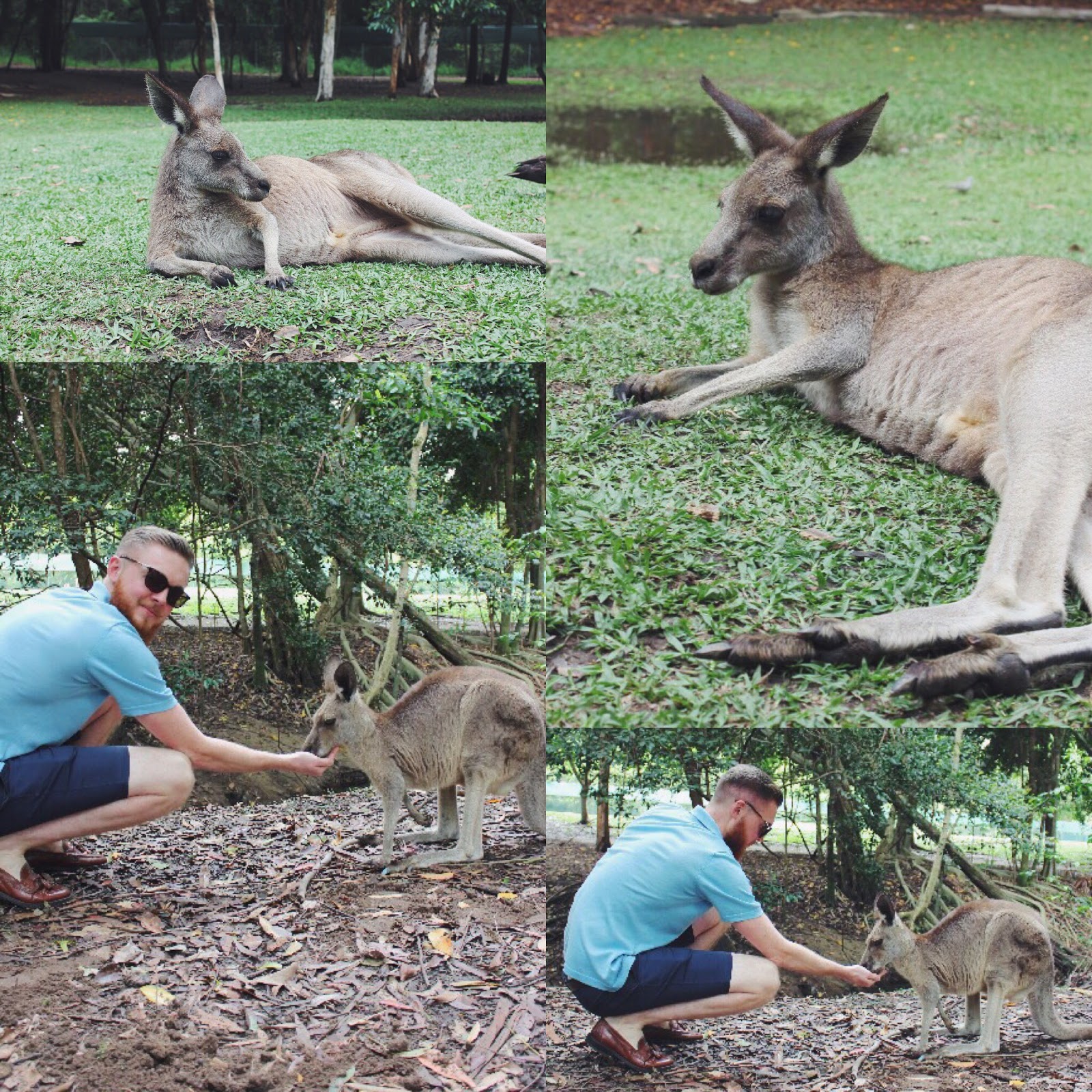 Australia.. Part one!! | Paige Ellen Gillard