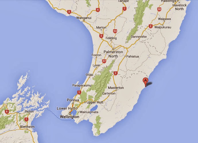 Art and Abart: Tiny Tainui