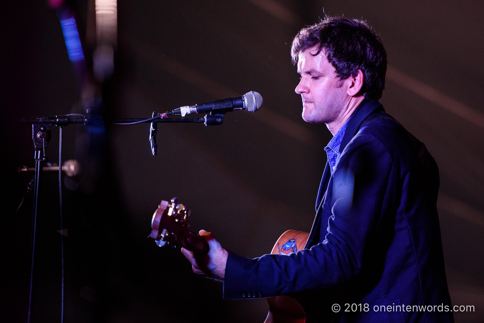 one in ten words: Hillside 2018: Day 1: Daniel Champagne - Concert Photos