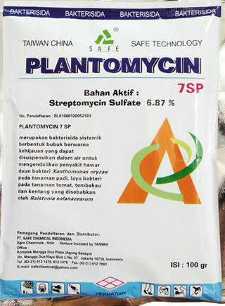 Obat penyakit hawar daun untuk tanaman padi - kliktani.com