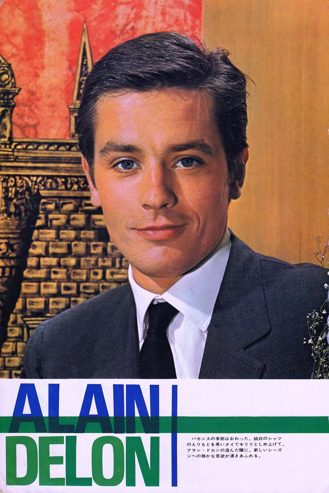 A VERY LUSH BUDGET: ALAIN DELON: MORE ALAIN from my own collection