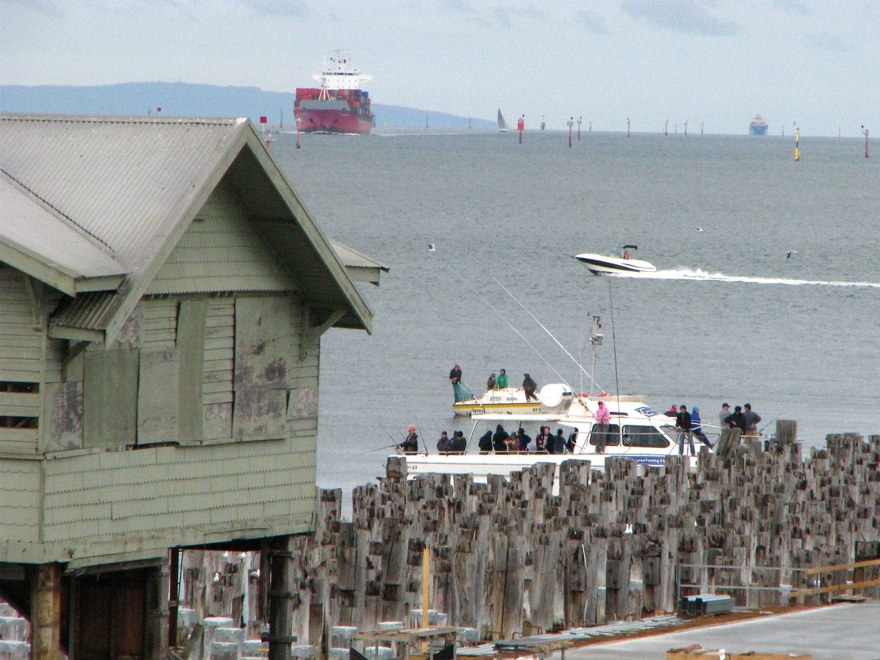 Port Focus: The fishing is good off Princes Pier!