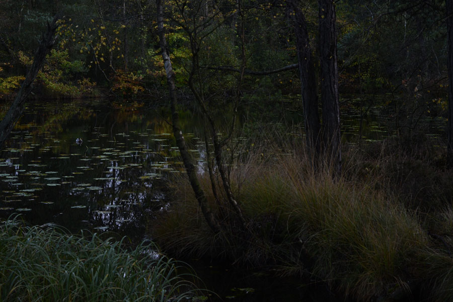 Paintings Art etc.: Bystock Pond