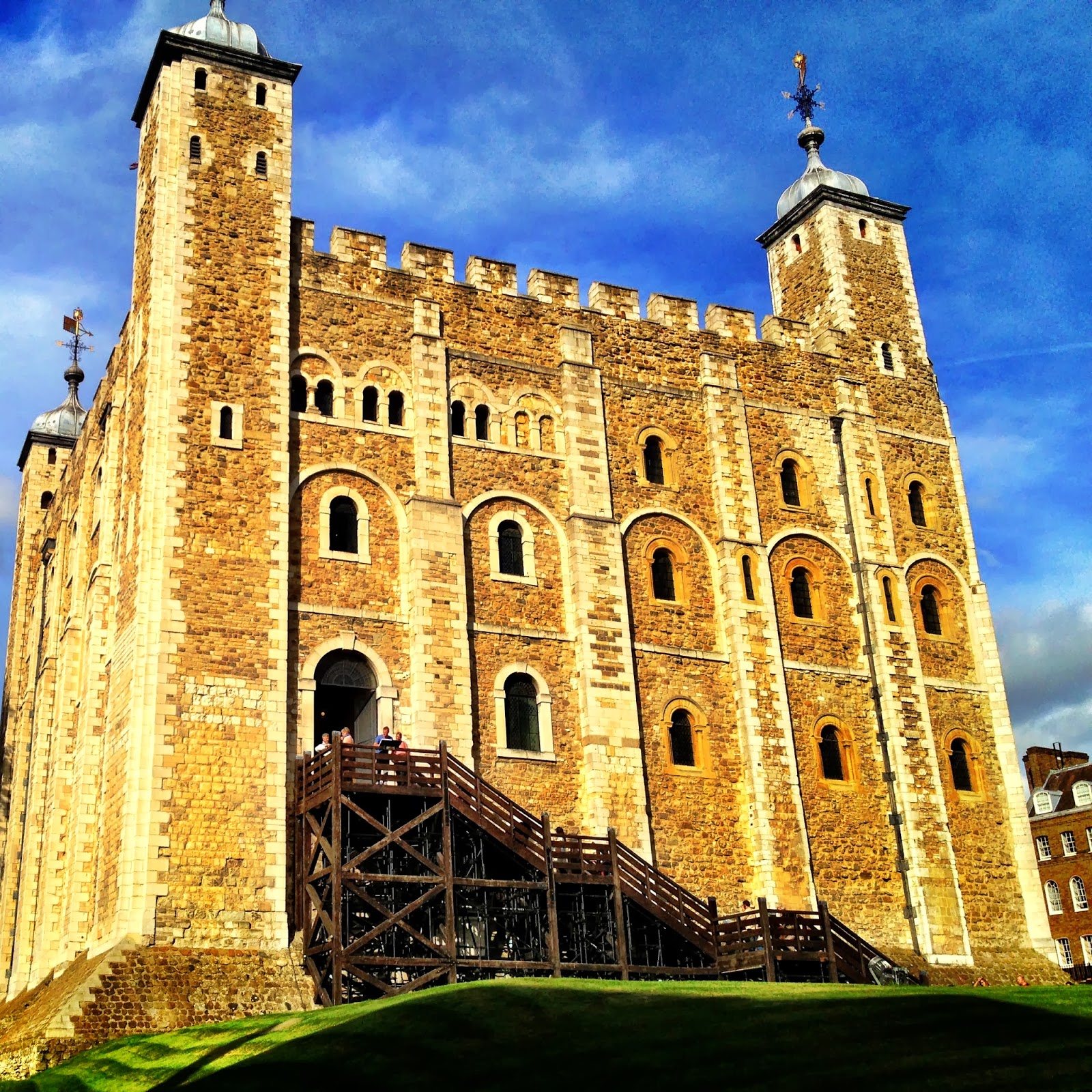 Tony Munch - Professional Bum