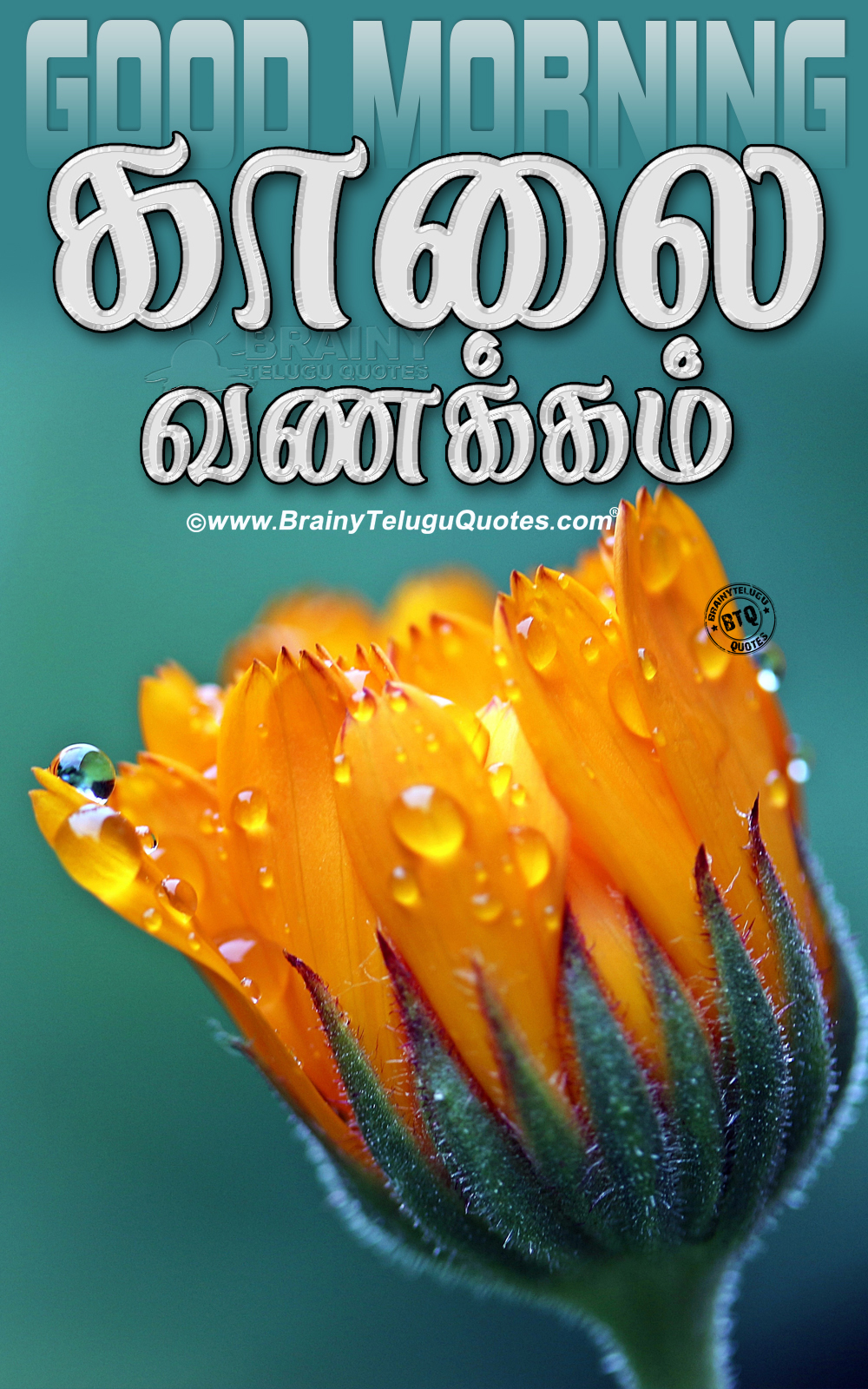 Tamil Good Morning Quotes kalai Vanakkam In Tamil whats App Sharing