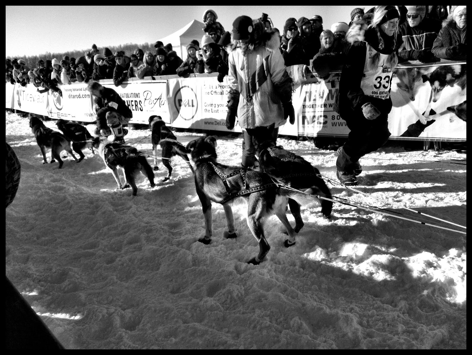 Life With The Luikens: Iditarod 2012: The Last Great Race on Earth