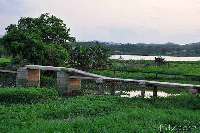 View thru My Global Lens: May 2012