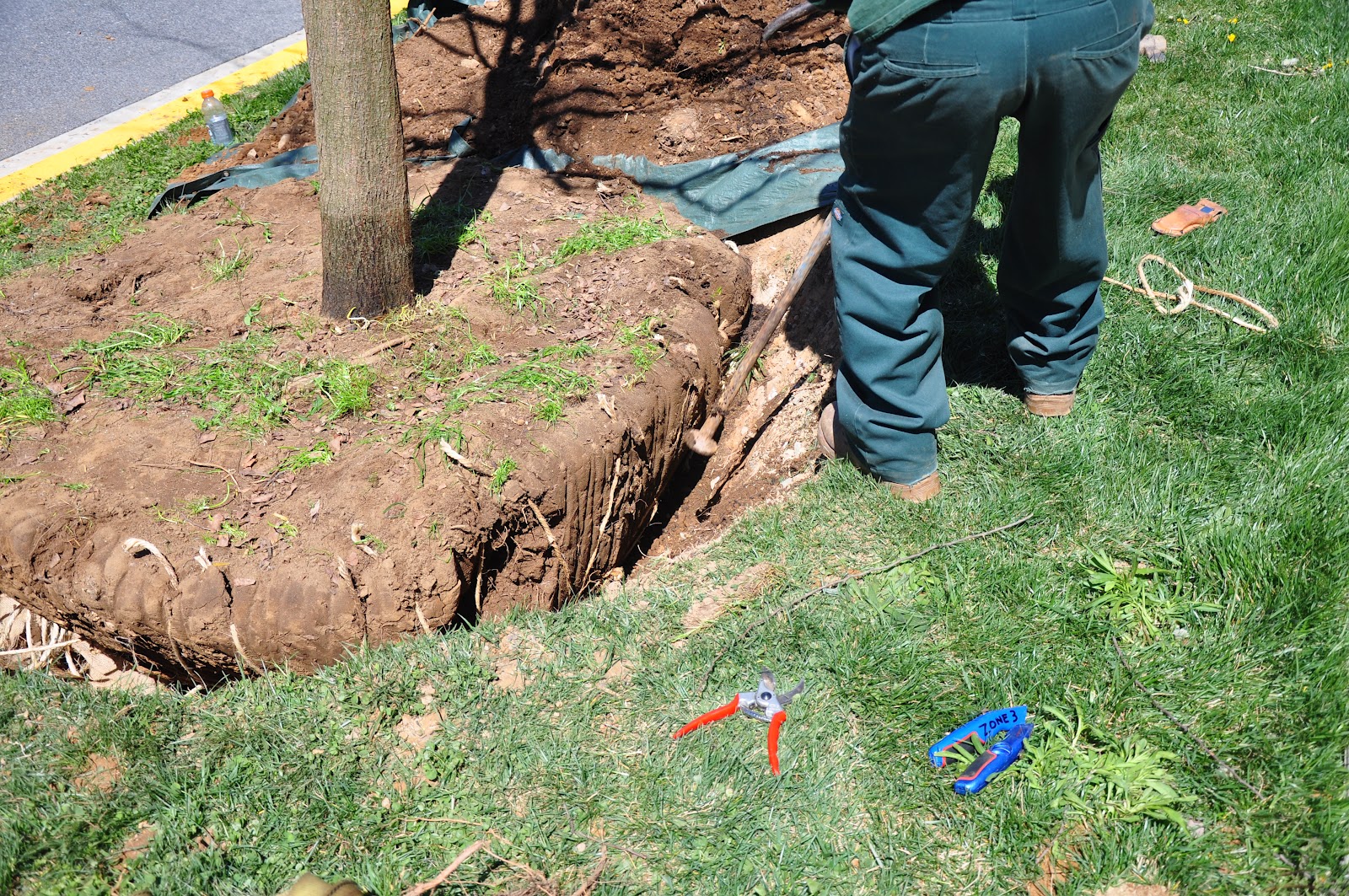 UMD Arboretum and Botanical Garden: A Day With Dr. Alex Shigo