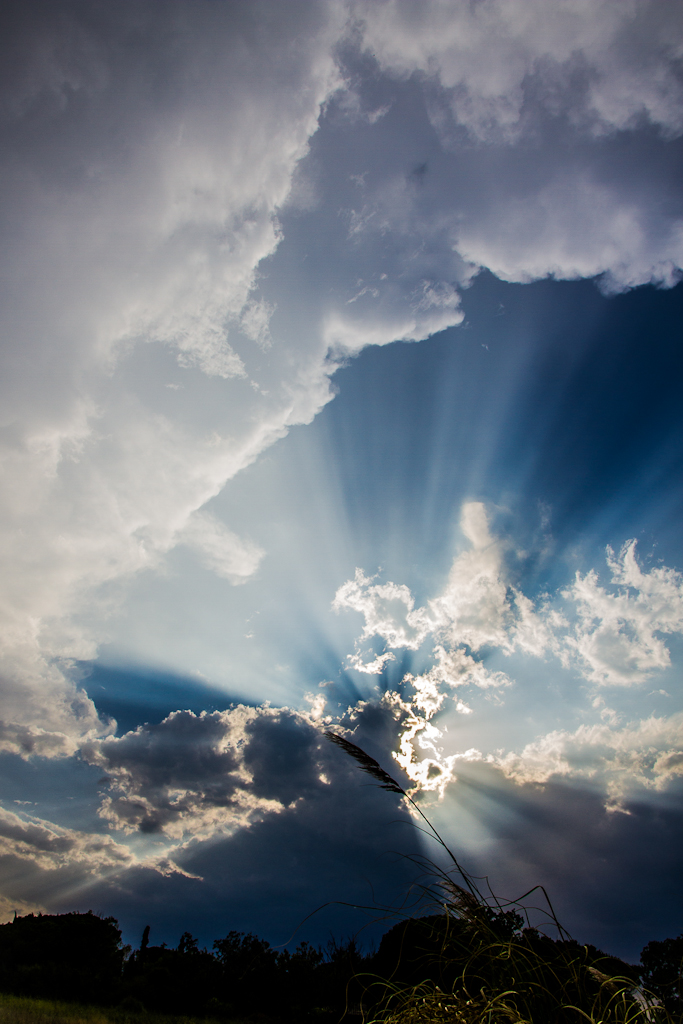 Sinequanum: 238/366 Un Rayo de Sol