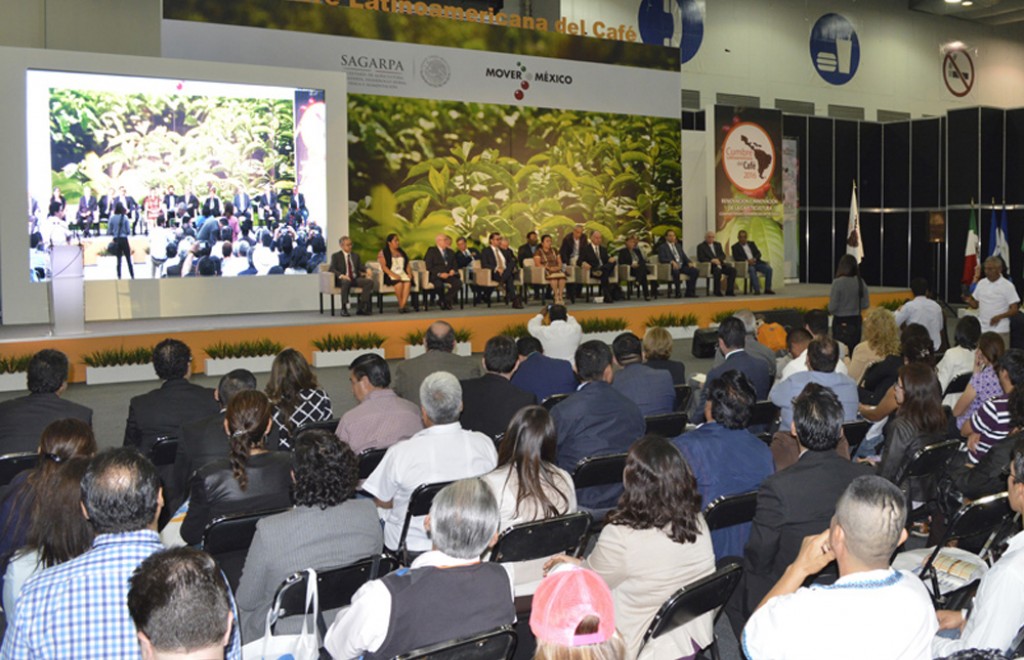 Café de México - Productores y Gobierno anuncian creación del Instituto ...
