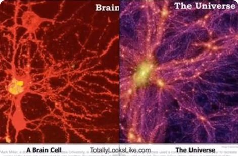BIG BRAIN TECHNOLOGIES: Brain & Universe