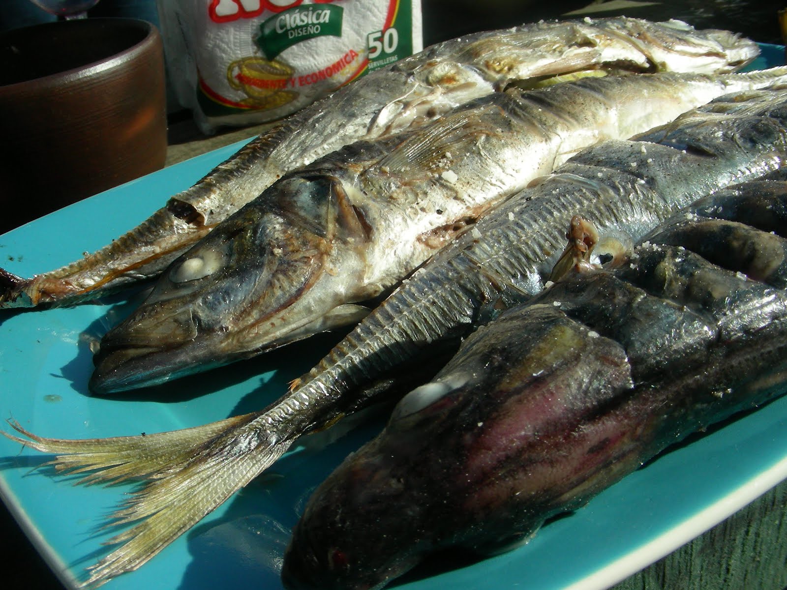 Cocinarte Chile: Cocina Chilena, del mar al plato.