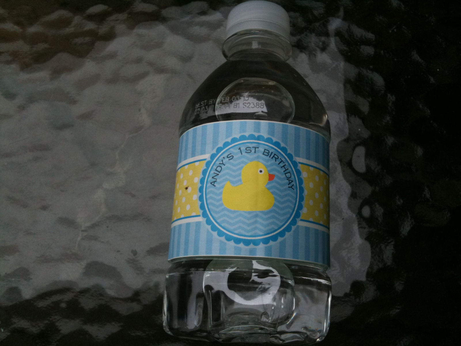 Rubber Duckie, You're Number One! Andy's 1st Birthday - Anders Ruff ...