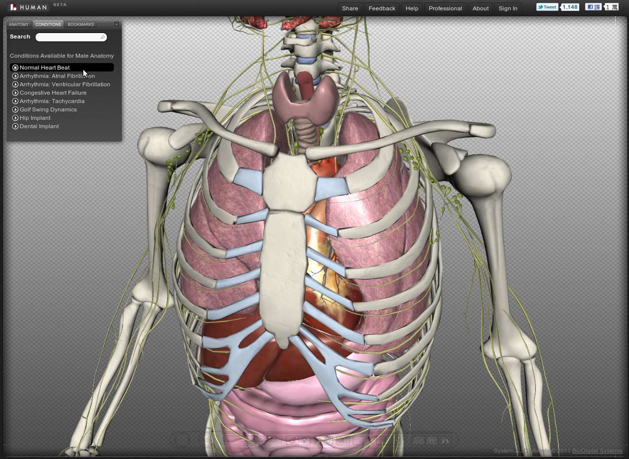 阿簡生物筆記: Bio Digital Human 人體解剖3D模型