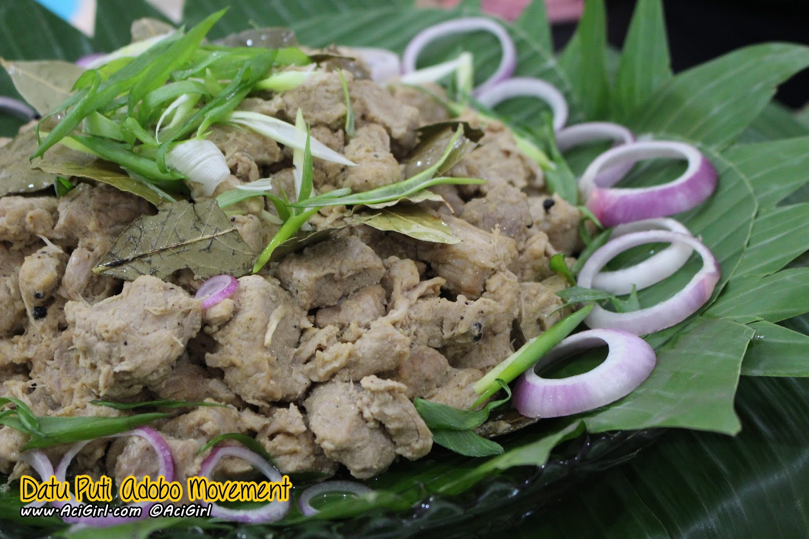 Makibaka! #TeamAdobo! DatuPuti 's Adobo Movement | Aci Girl
