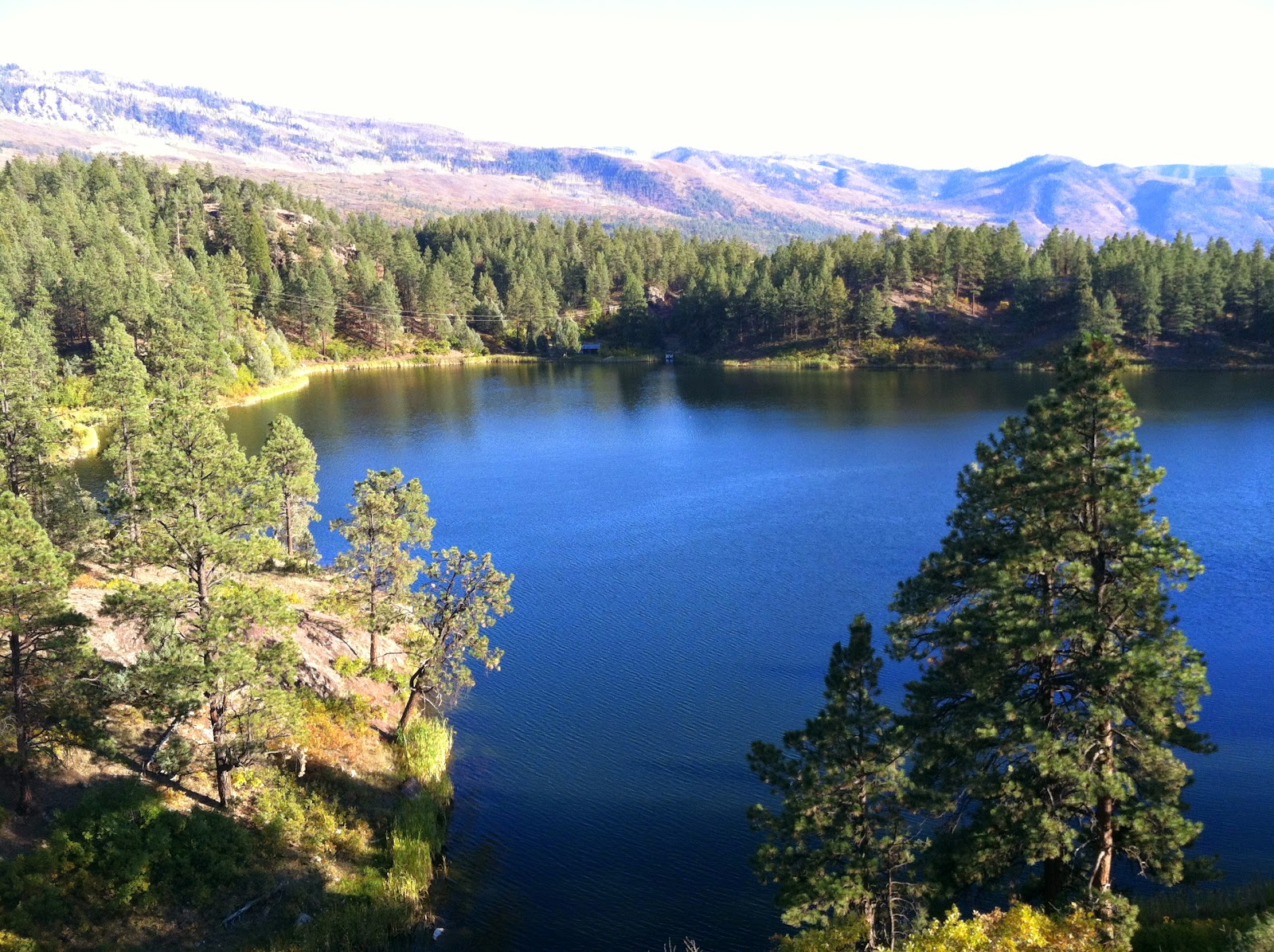 Durango Vacation Journal: Vallecito Lake