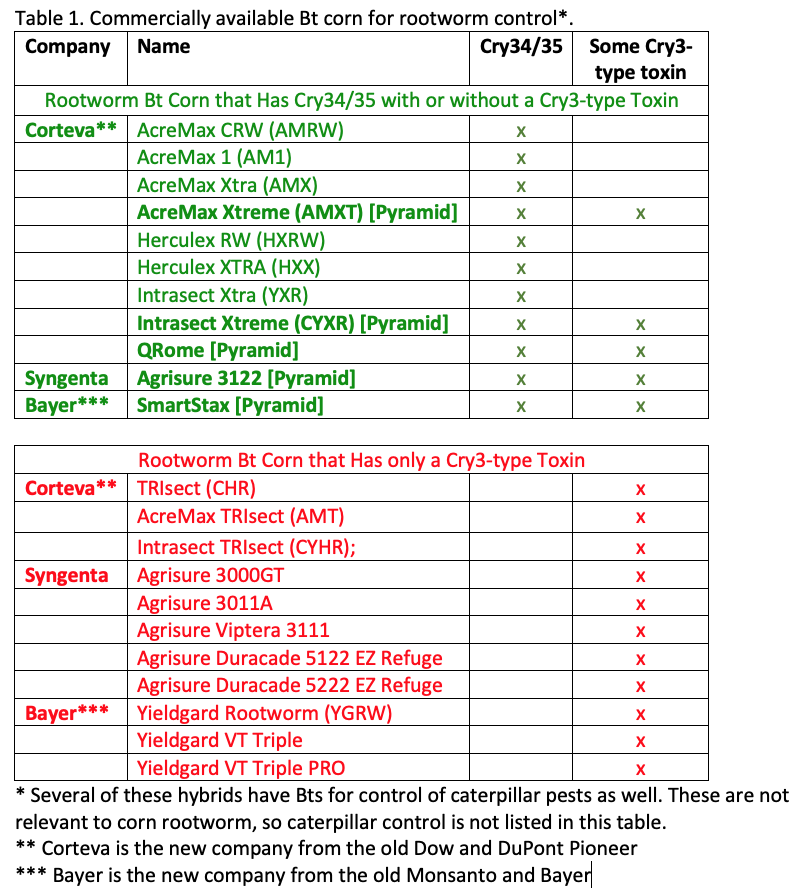 FOCUS on Entomology: Bt Corn Seed Selection in Light of Resistance in ...