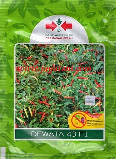 Benih Cabe DEWATA 43 F1 :: Toko Jaya Tani