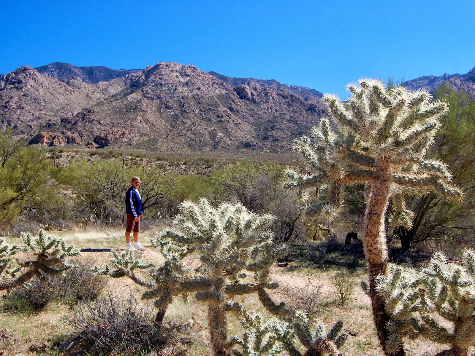 Anywhere USA: Catalina and Oracle State Parks