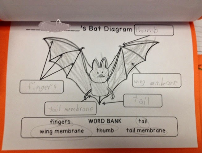 Hopping from K to 2!: Halloween!