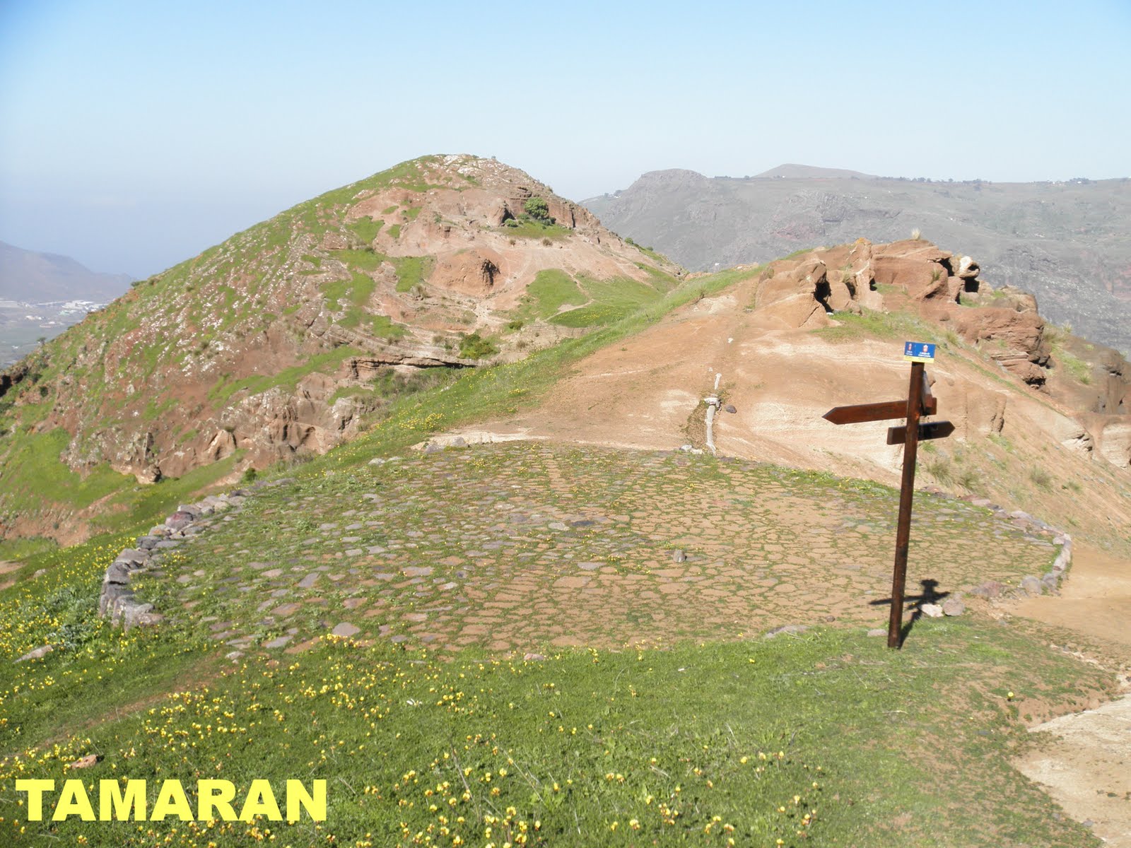 TAMARAN: "TAMARANITA" DE TAMARAN