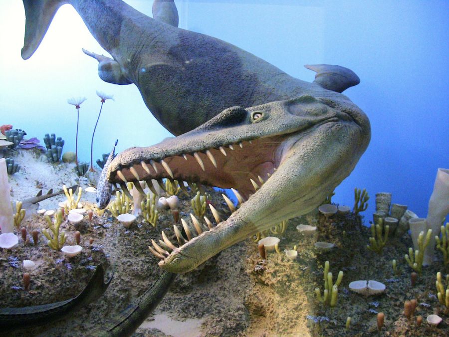 7 monstros do mar pré-históricos e aterrorizantes