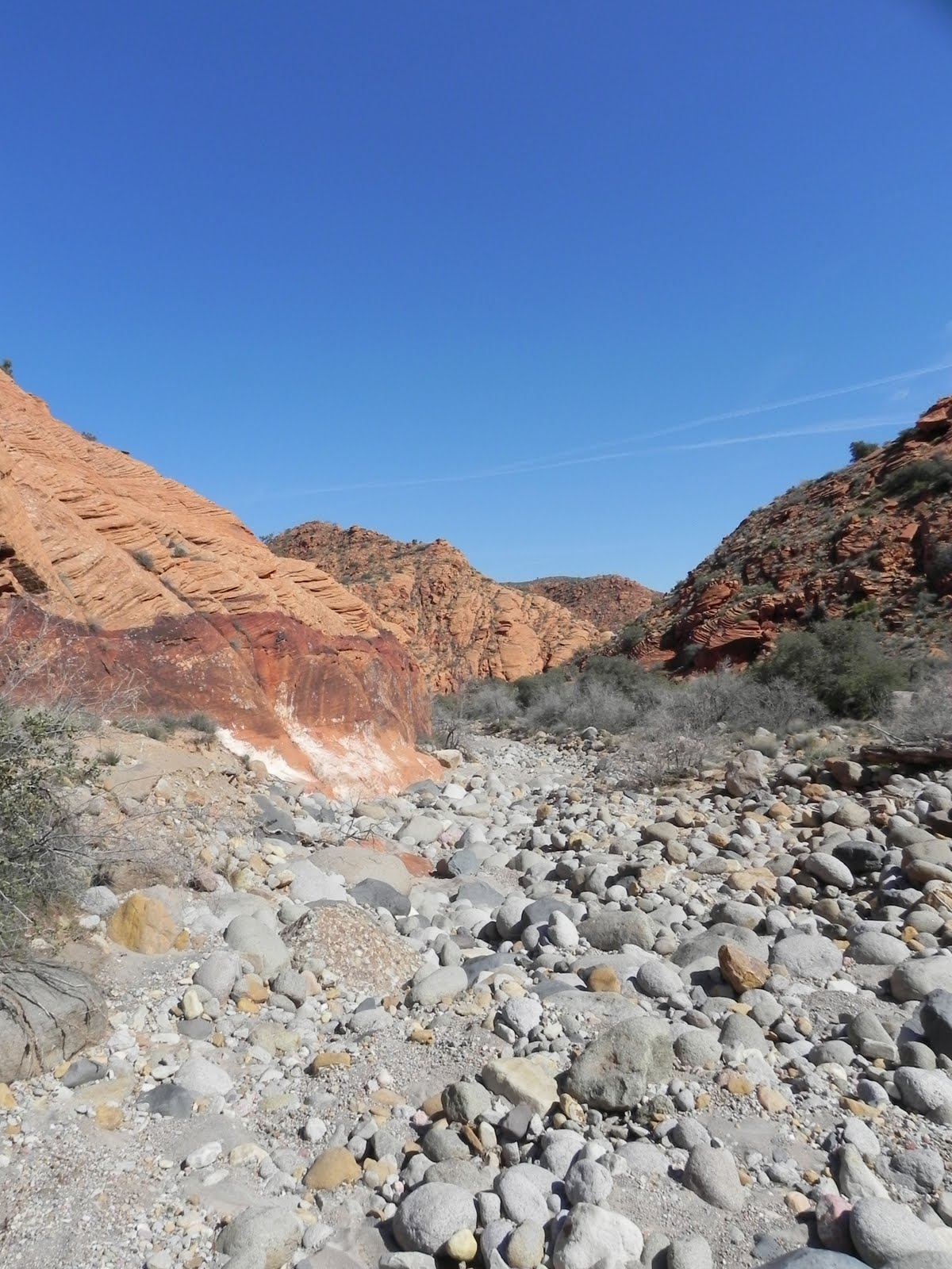 Red Cliffs Desert Reserve