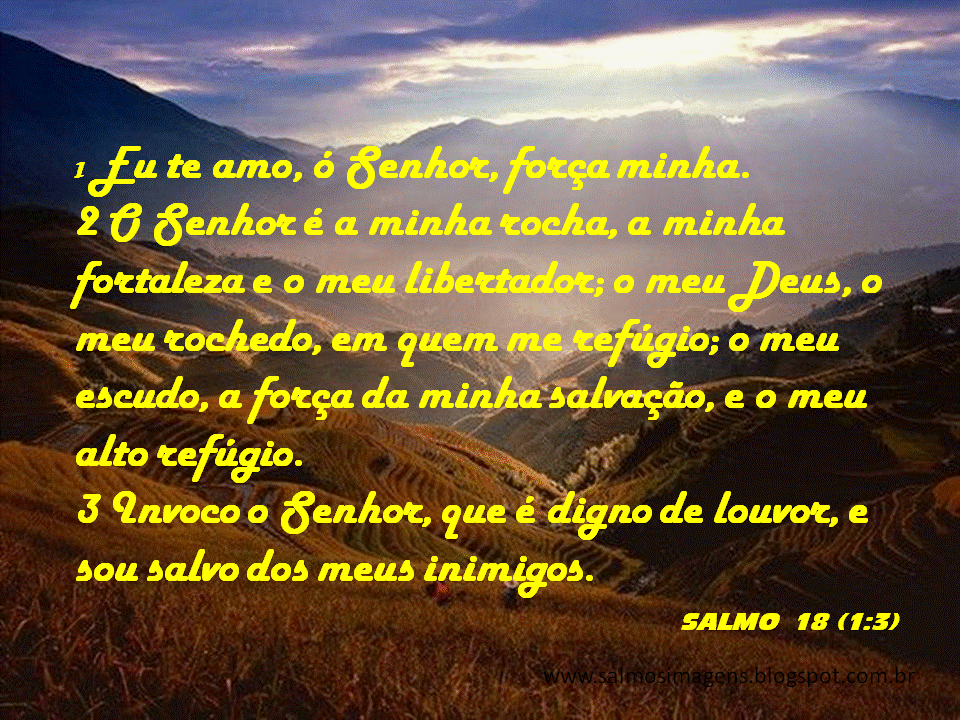 SALMOS: SALMO 18