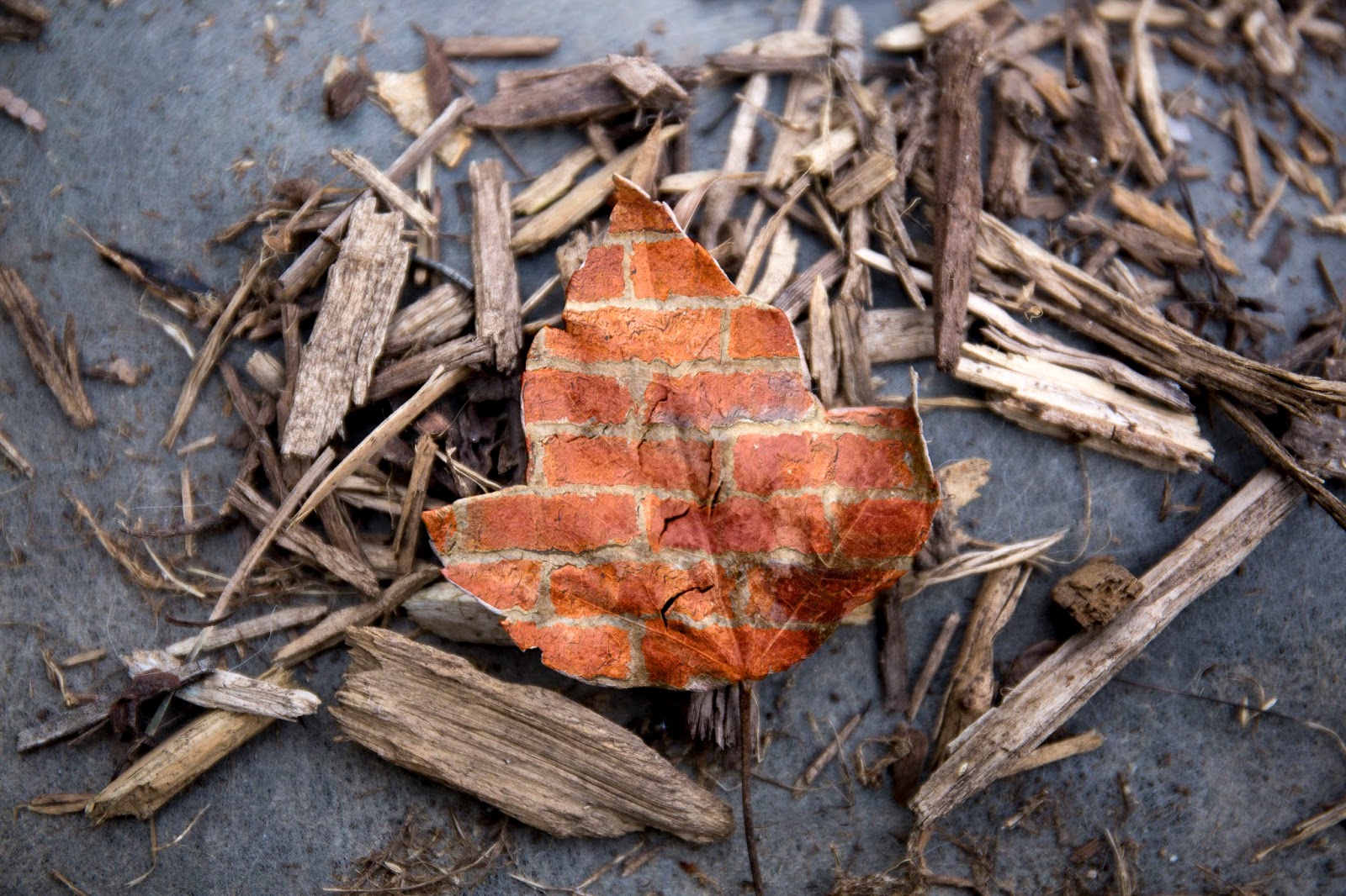 Students of Light: Displacement Mapping