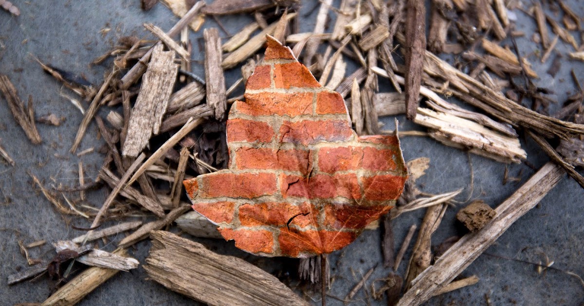 Students of Light: Displacement Mapping